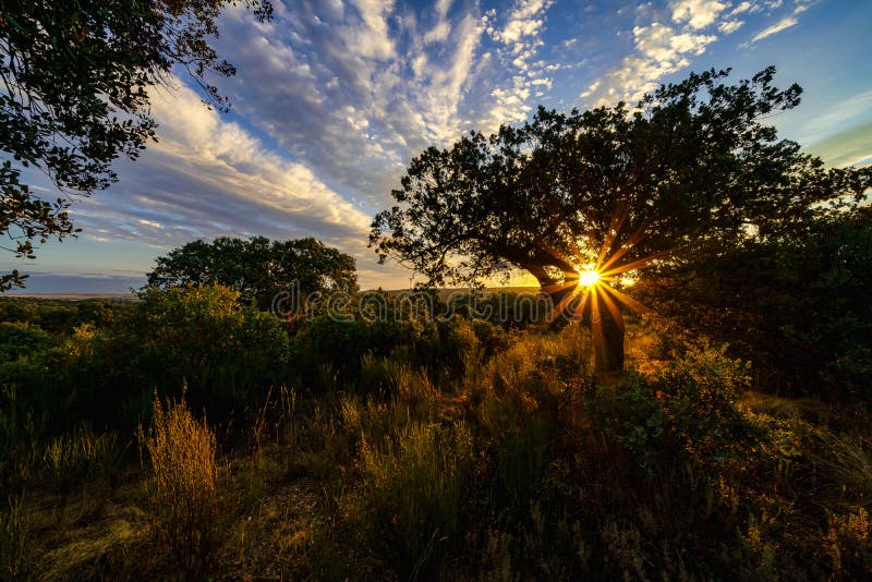 Sun Setting Behind Apuane Alps Stock Photo - Image of landscape, nature ...