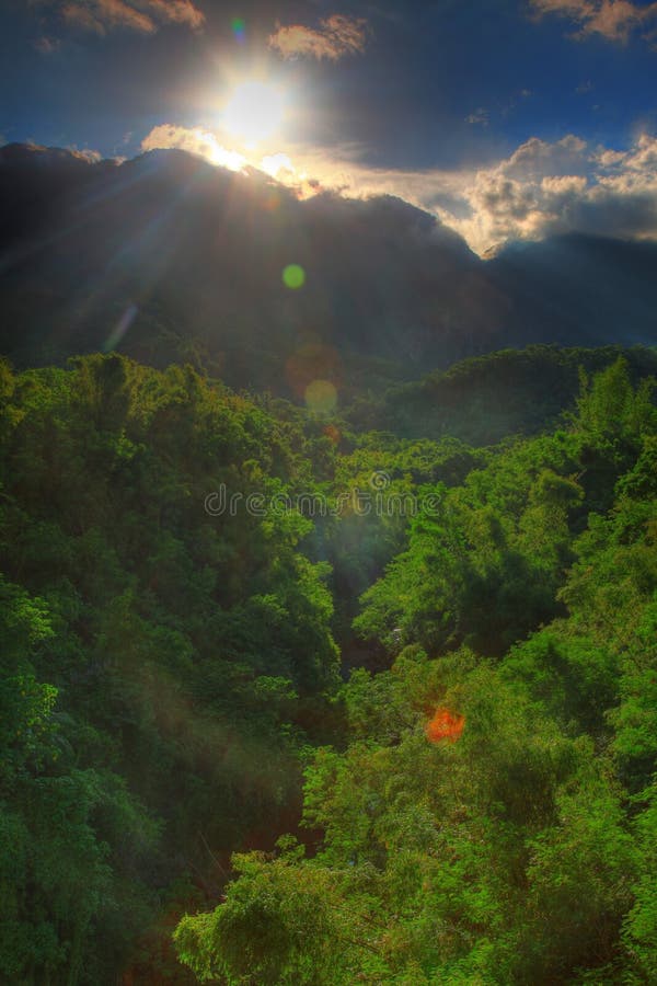 Golden Sunshine and Nature Picture Stock Photo - Image of shiny, cloud ...