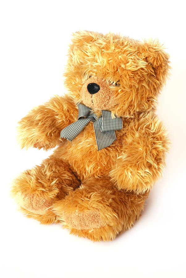 Golden teddy bear stock photo. Image of gift, isolated - 1352030