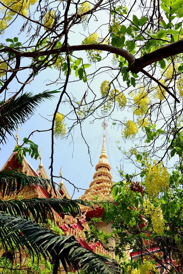 Golden temple and trees stock image. Image of religious - 77062197