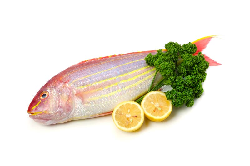 Golden threadfin bream stock photo. Image of organic - 27039960