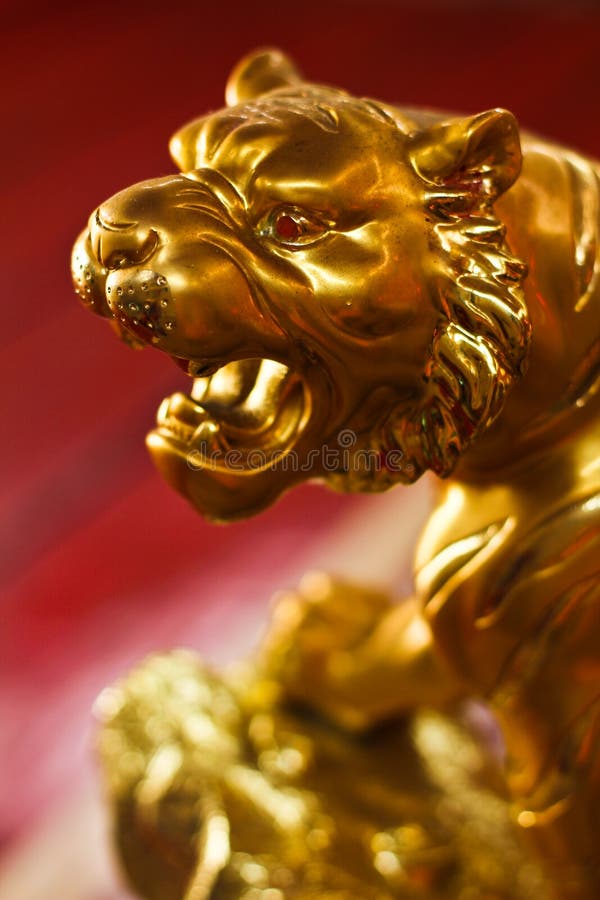 Golden Tiger stock image. Image of gold, concept, bars - 22913469