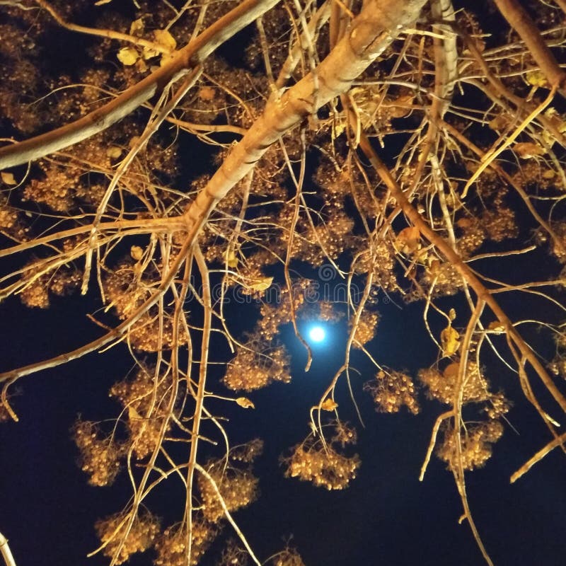 Sagon Use Stock Photos - Free & Royalty-Free Stock Photos from Dreamstime