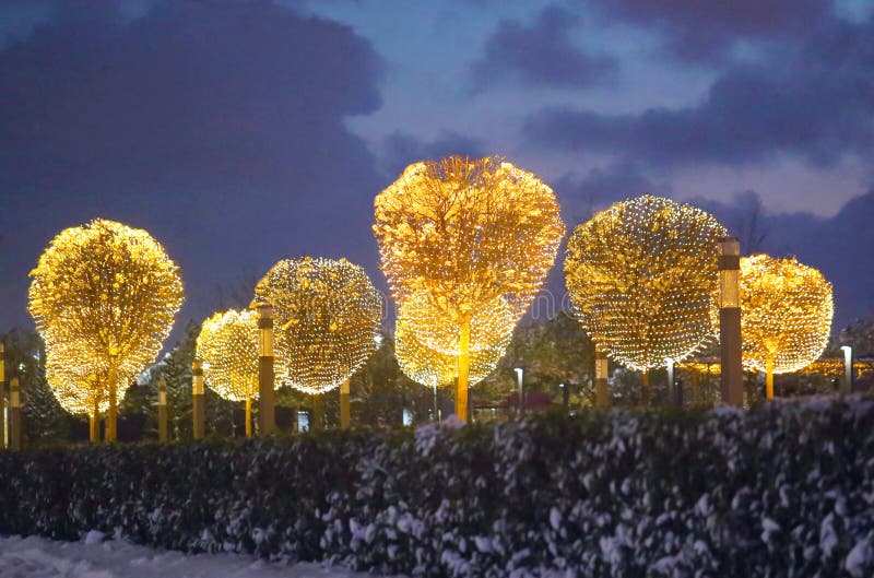 Golden Trees with Beautiful Illumination Glow with a Bright Light ...