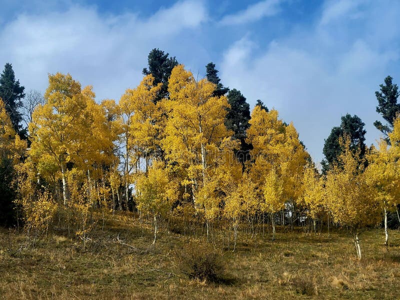 Canjilon Stock Photos - Free & Royalty-Free Stock Photos from Dreamstime