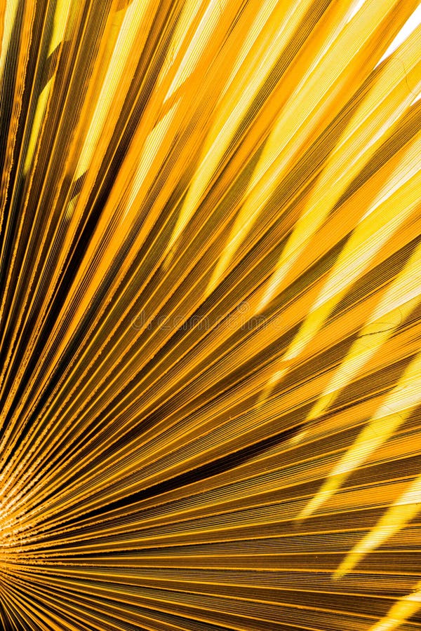 Golden Tropical Leaf Design Elements,gold Leaf of Tropical Forest Plant ...