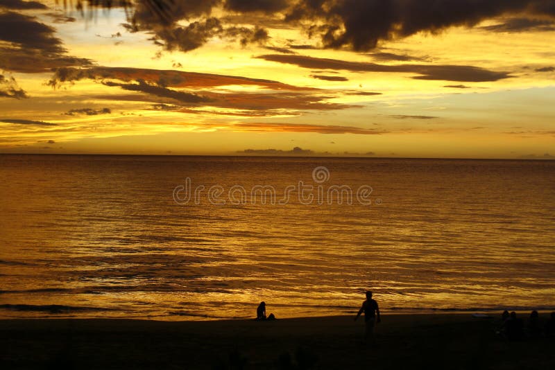 Golden Tropical Sunset stock image. Image of leaves, rays - 4338881
