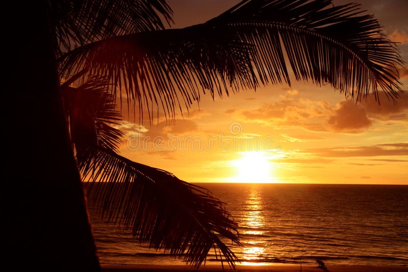 Golden Tropical Sunset stock photo. Image of beach, oahu - 4554946