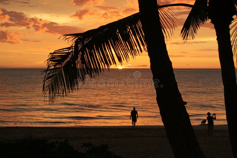 Golden Tropical Sunset stock image. Image of beach, peaceful - 4554949