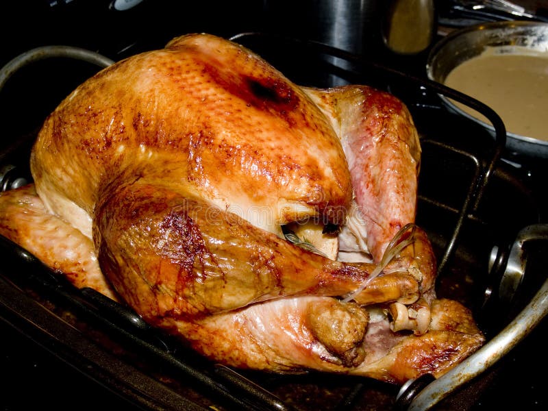 Golden Turkey stock image. Image of browned, broiled, meal - 8709415