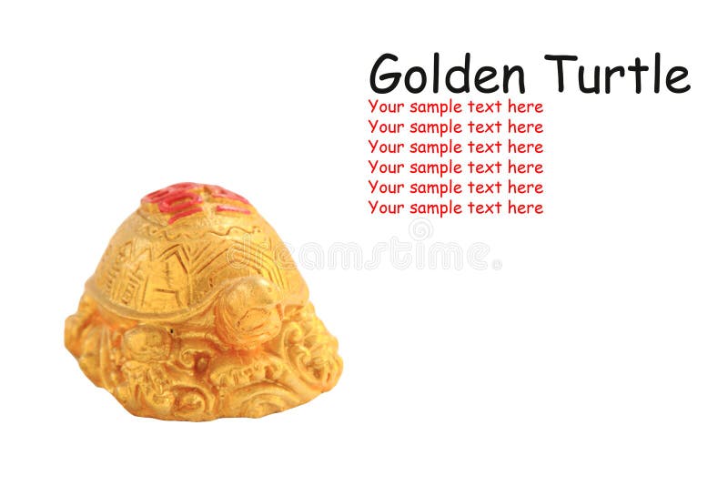 Golden Turtle Isolated on White Stock Photo - Image of sample ...