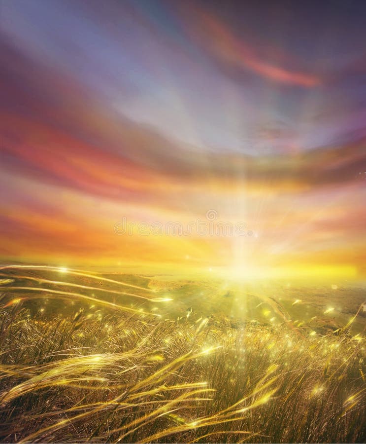 Golden valley stock image. Image of farm, clouds, decoration - 12001857