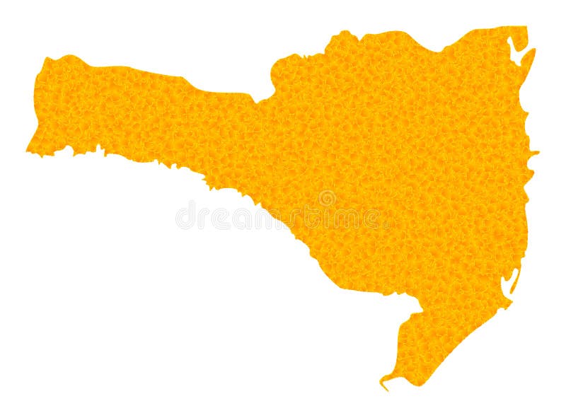 Golden Vector Map of Santa Catarina State Stock Vector - Illustration ...