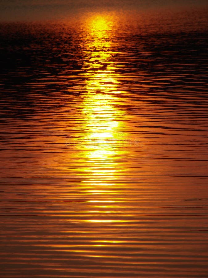 Golden water 1 stock photo. Image of dark, dusk, nature - 3042576