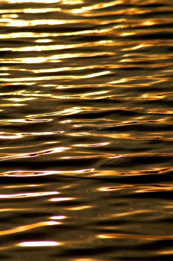 Shimmering Gold Water Bokeh Background Stock Image - Image of shiny ...