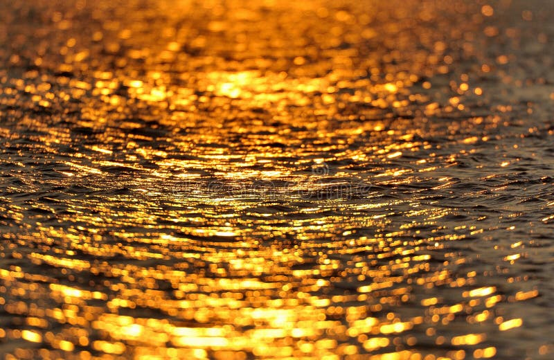 471,424 Golden Water Stock Photos - Free & Royalty-Free Stock Photos ...
