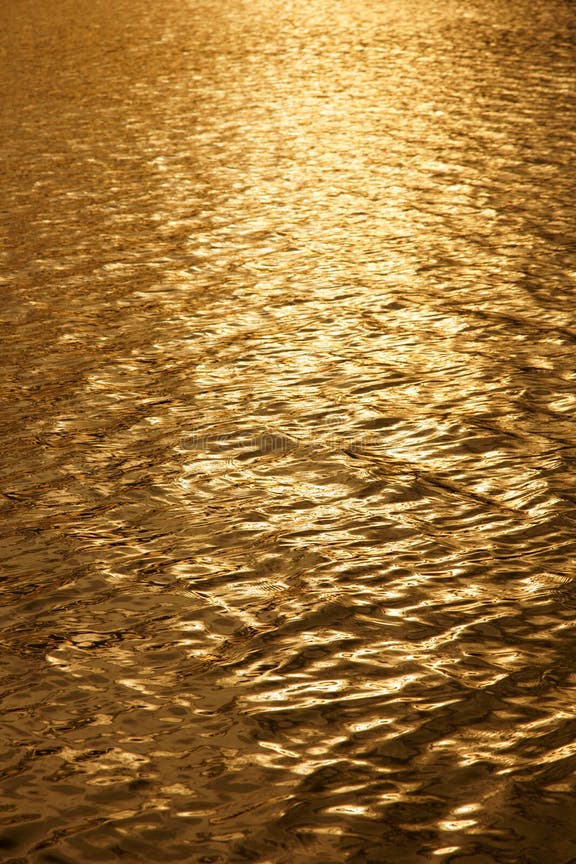 Golden water Background stock photo. Image of pond, flowing - 8791234