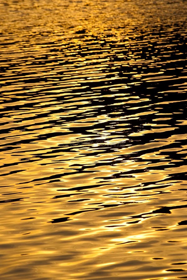 Golden water reflection stock image. Image of lake, surface - 11503611