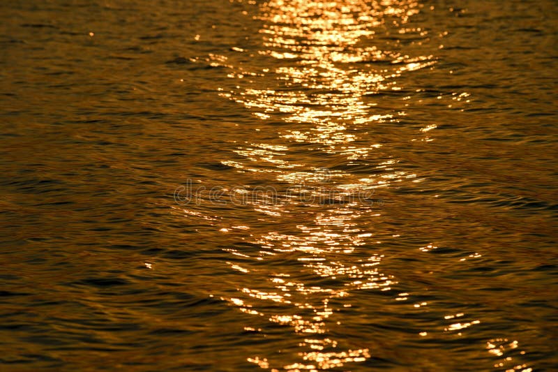 Golden wave stock photo. Image of morning, golden, wave - 82578982