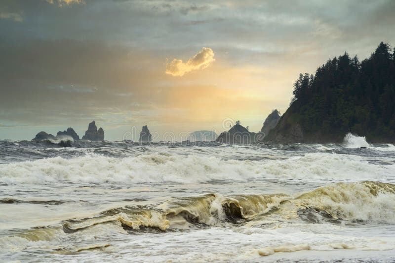 Golden Waves Break the Shoreline at Sunset in Ruby Beach, WA. Stock ...