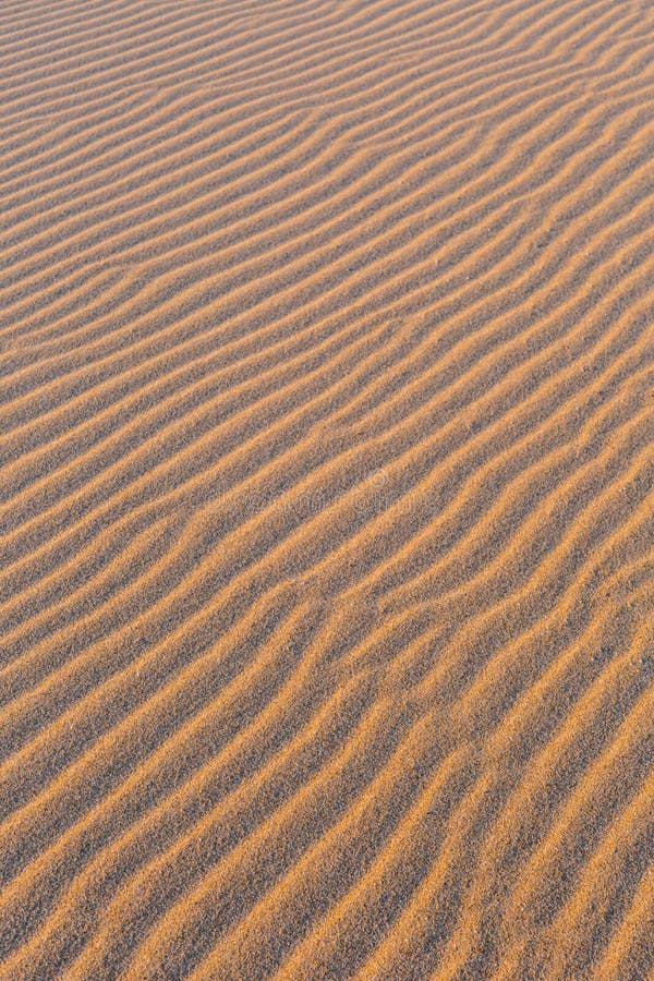 Golden Wavy Sand Texture Pattern Structure, Lit by Morning Sun Stock ...