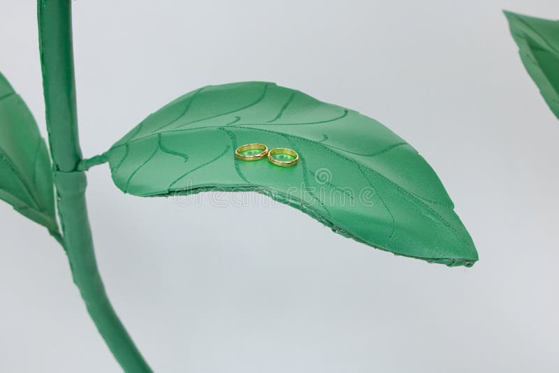 Golden Wedding Rings Lie on a Green Leaf of Artificial Roses Stock ...