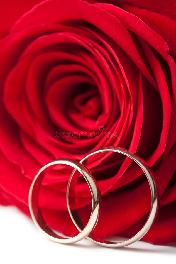 Two Wedding Rings and Red Rose Stock Image - Image of ceremony, copy ...