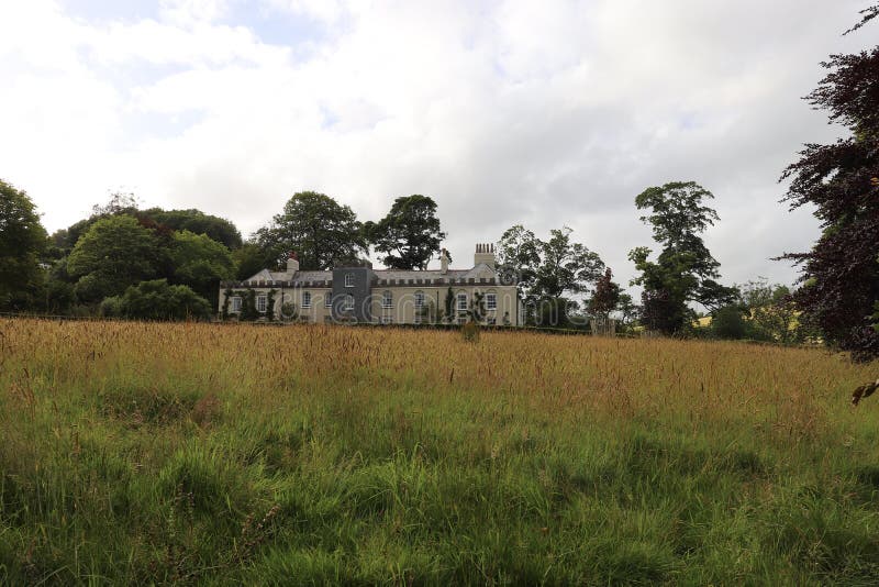Golden Wheat Beneath the Gaze of Restormel Manor Stock Image - Image of ...