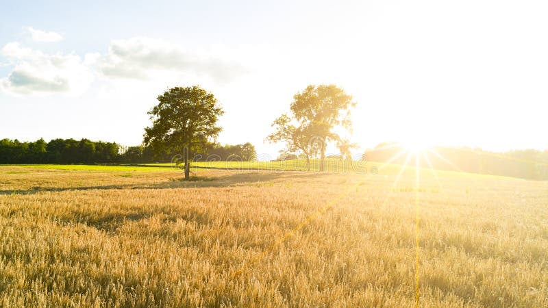 17,102 Craftykai1 Pics Stock Photos - Free & Royalty-Free Stock Photos ...