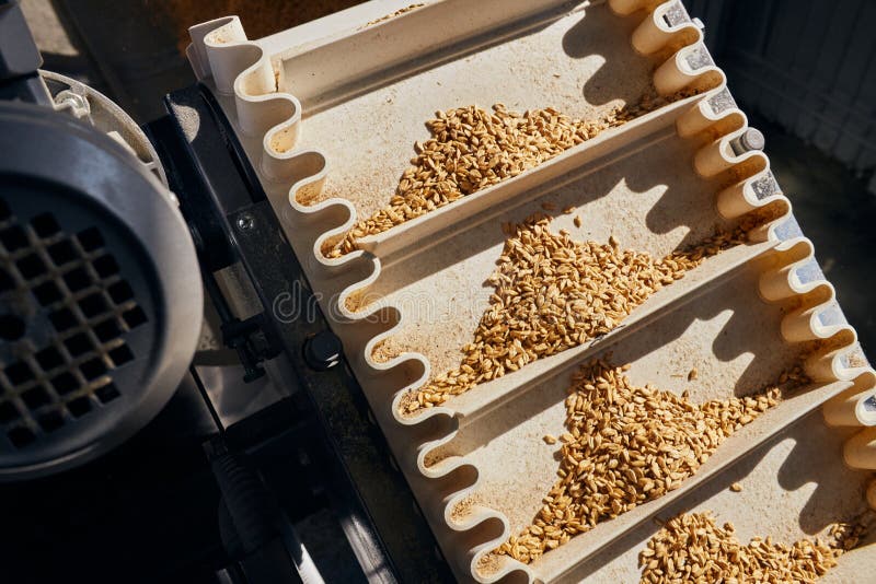 Sorting, Drying and Peeling Centrifuge Machine for Grains Stock Image ...