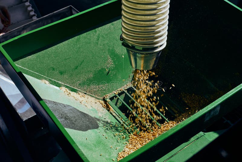 Grain Sorting Machine on the Factory Stock Photo - Image of golden ...