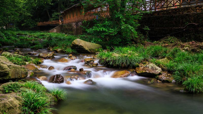 Golden Whip Stream Trail in the Cloud at Zhangjiajie Natural Forest ...