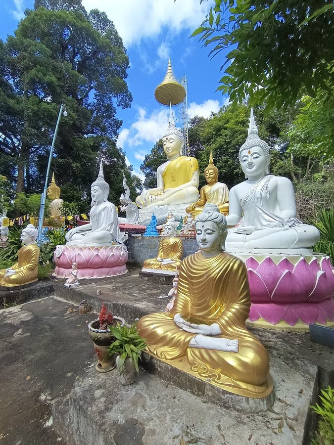 Golden and White Buddha Statues in the Thailand Temple Editorial Image ...