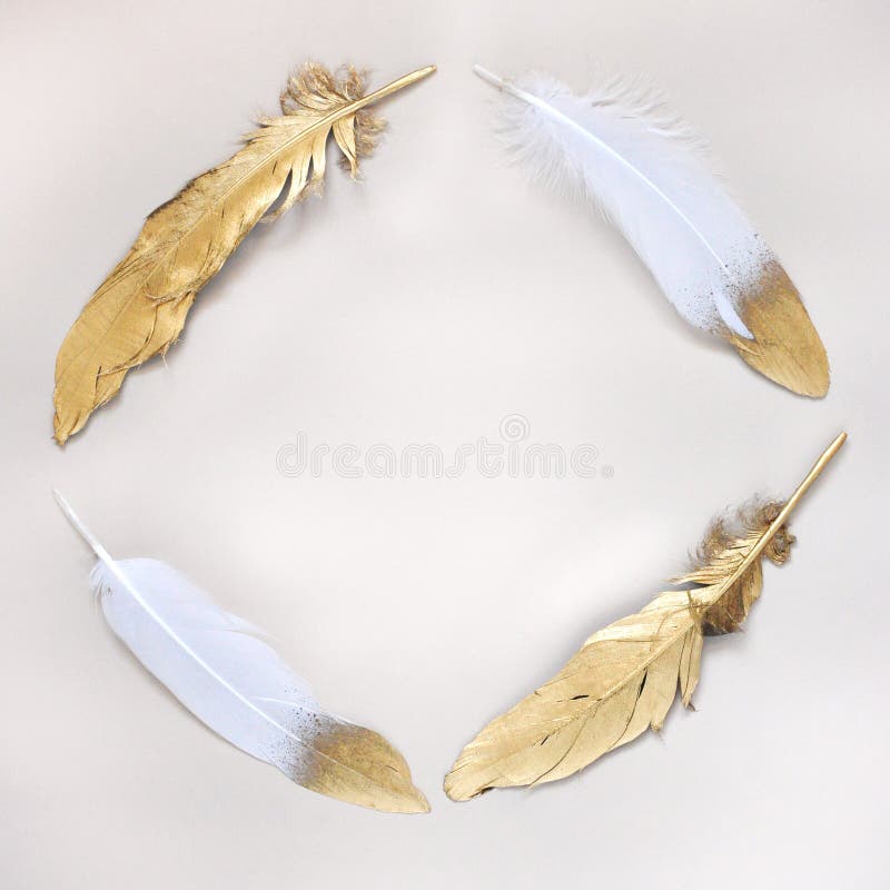 Daniaphoto - Photographer profile