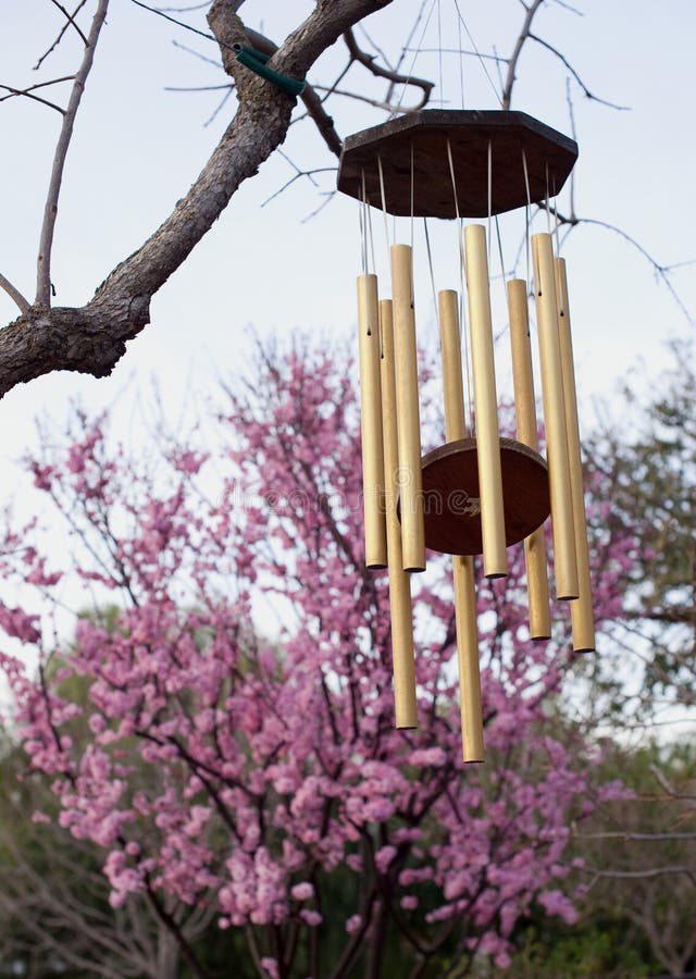 Golden Windchime Against Pink Cherry Blossoms Stock Image - Image of ...