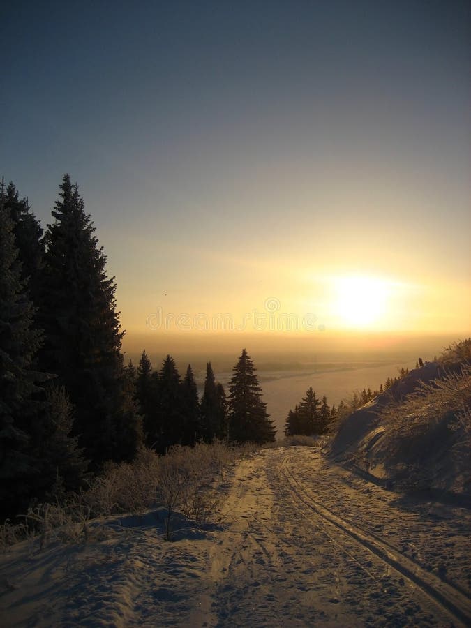 Golden winter sun stock photo. Image of forest, nordic - 7205296