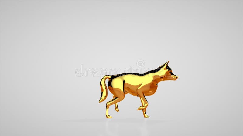 Golden Wolf Walking Seamless Loop, White Studio Stock Video - Video of ...