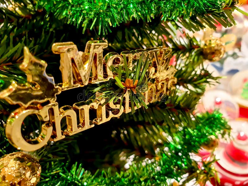 Golden Wording of Christmas Decorated on Pine Tree on Christmas Day ...
