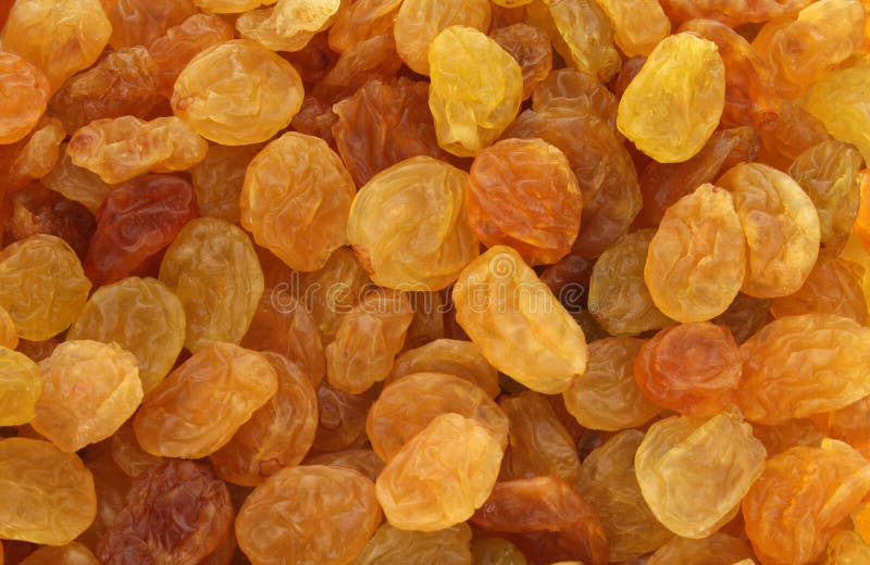 Raisins and Grapes stock image. Image of leaves, preserved - 15264257