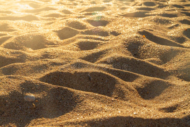 Golden, Yellow Sand Dunes by the Sea in Bright Sunlight. Stock Image ...