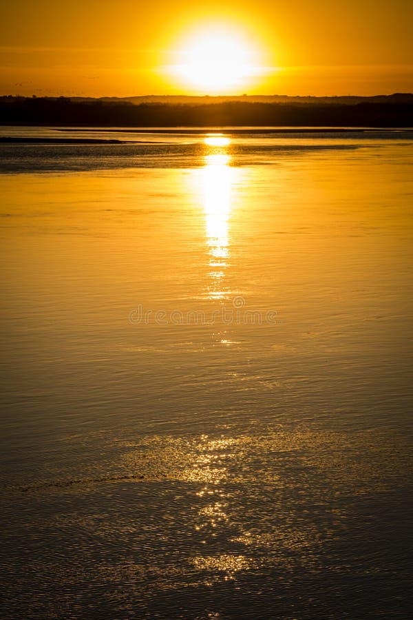 Golden Yellow Sunset stock photo. Image of light, sunrise - 29031842