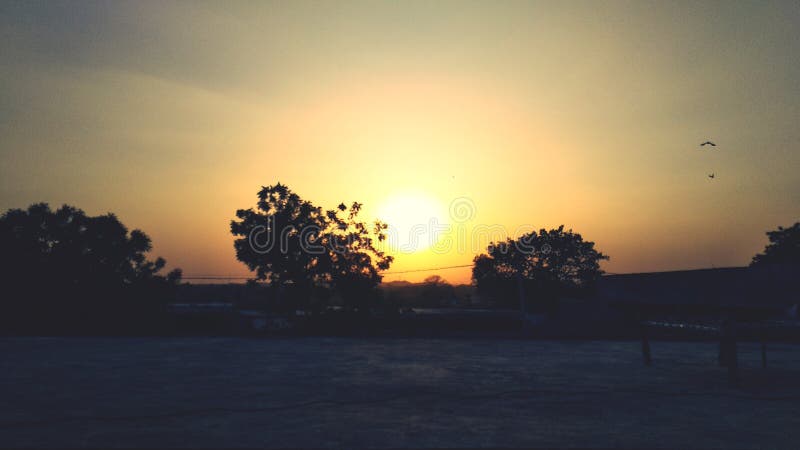 Golden Yellow Sunset Bright View on the Field with Tiny Clouds Stock ...