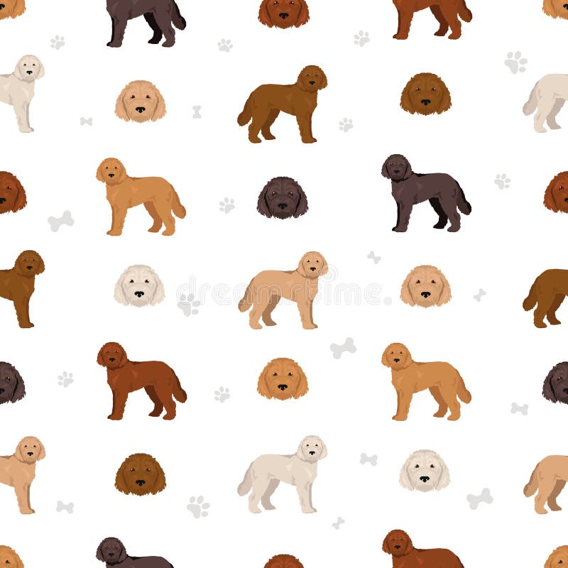 Goldendoodle Seamless Pattern. Golden Retriever Poodle Mix Stock Vector ...
