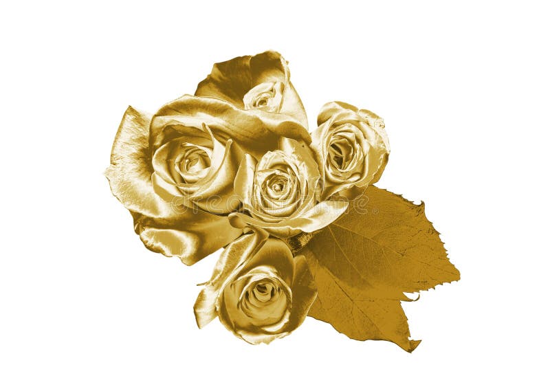 Goldene Rose stockfoto. Bild von orchidee, lilie, tulpen - 96018818