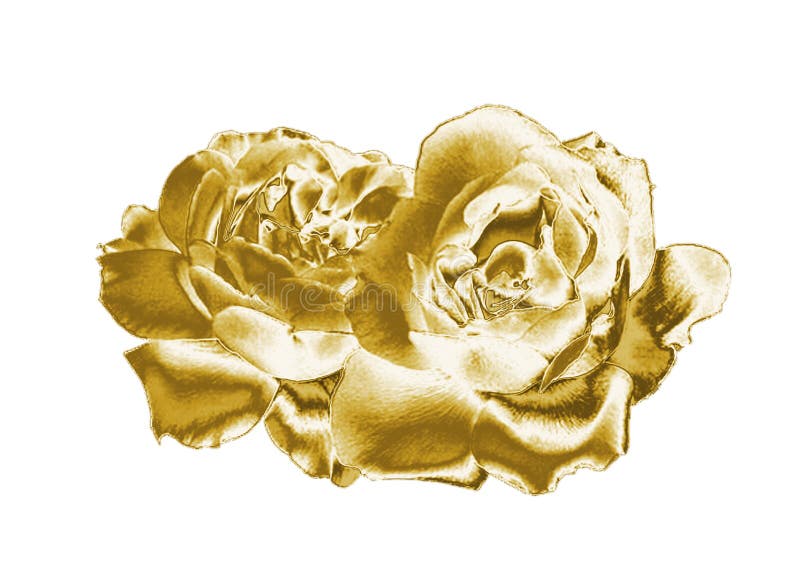 Goldene Rose stockfoto. Bild von stieg, schwarzes, blume - 96018748