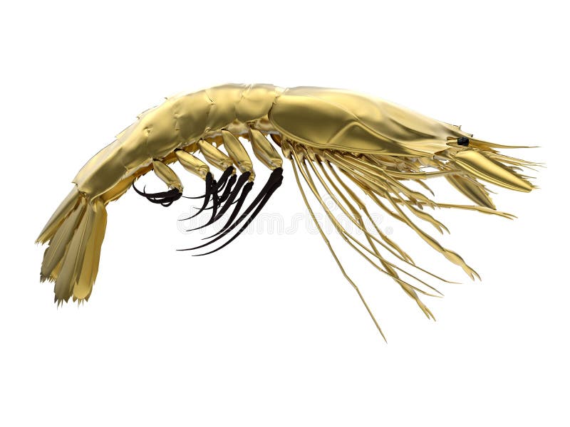 Goldener Hummer - Schwarze Beine Stock Abbildung - Illustration von ...