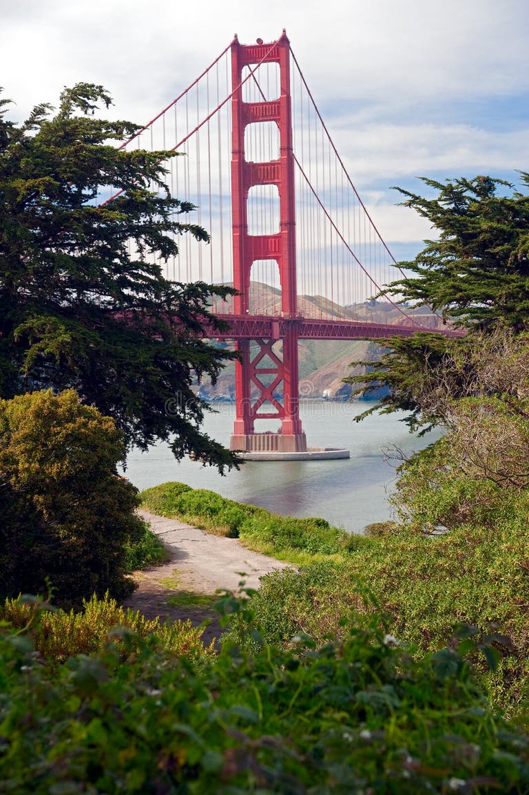 Goldent Chick Stock Photos - Free & Royalty-Free Stock Photos from Dreamstime