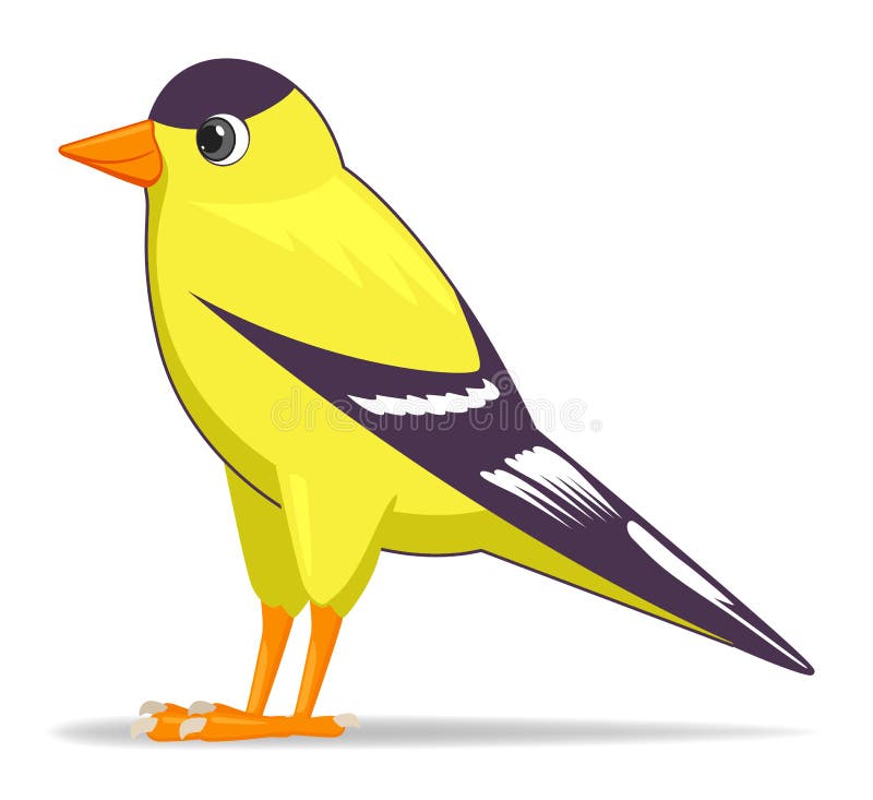 Goldfinch Illustration Stock Illustrations – 543 Goldfinch Illustration ...