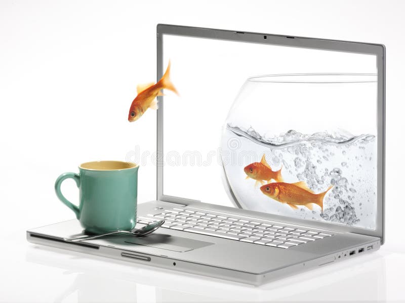 Laptop Computer with Sharks Stock Image - Image of curtains, crystal ...