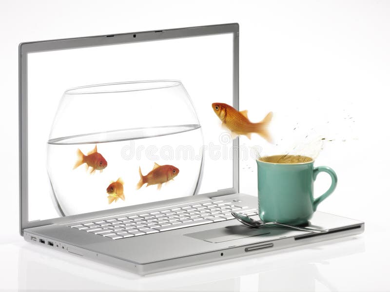 Gold Fish and Computer Monitor Stock Image - Image of wide, visual: 2599461